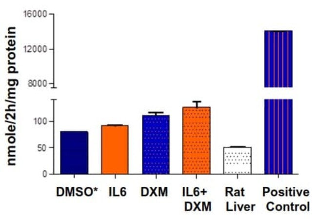 Abcam Transglutaminase Activity Assay Kit (Colorimetric) 100test ...