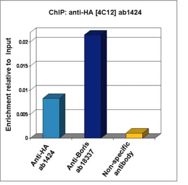 Abcam Anti-HA tag antibody [12CA5] 100ug, Quantity: Each of 1 | Fisher ...