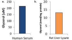 Abcam Free Glycerol Assay Kit, Quantity: Each of 1 | Fisher Scientific