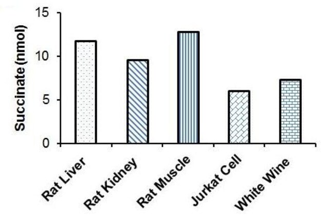 Abcam Succinate Assay Kit (Colorimetric) 100test, Quantity: Each of 1 ...