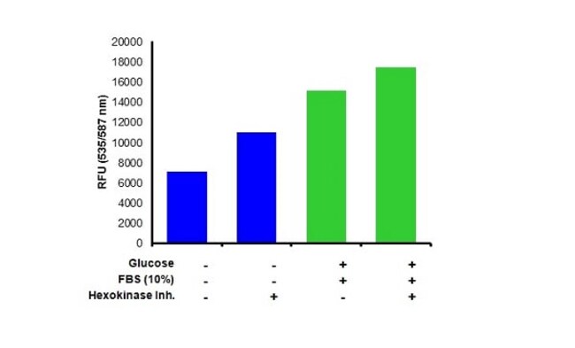 Abcam Glucose uptake assay (Fluorometric, Direct Glucose) 50test ...