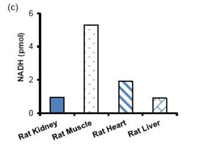 Abcam NADH Assay Kit (Fluorometric, High Sensitivity) 100test, Quantity ...