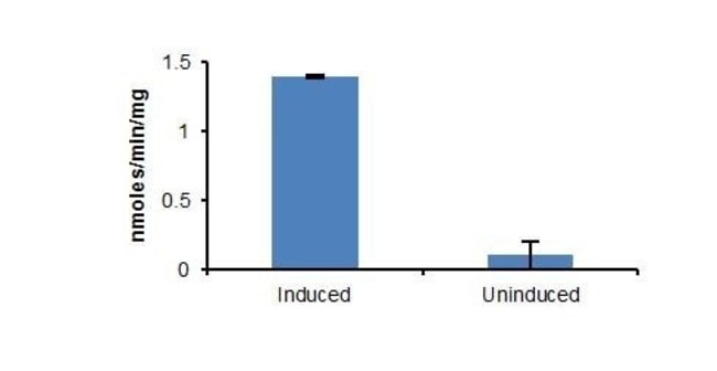 Abcam Caspase-3 Activity Assay Kit (Fluorometric) 100test | Fisher ...