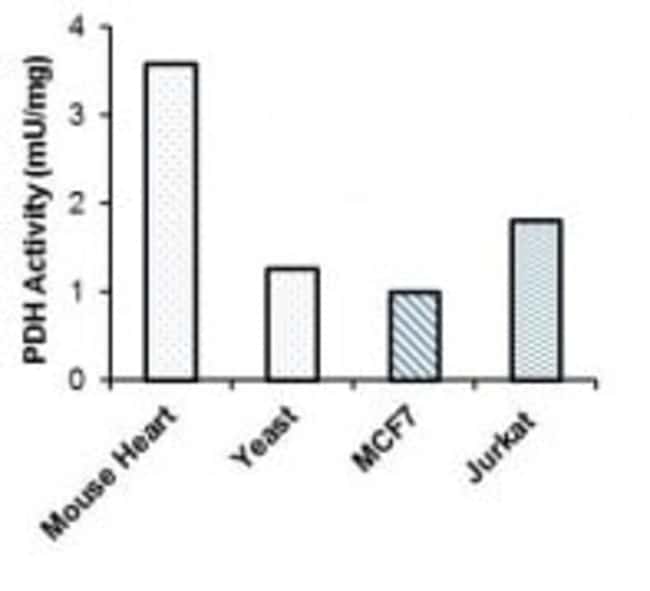 Abcam Pyruvate Dehydrogenase Kit 96test, Quantity: Each of 1 | Fisher ...