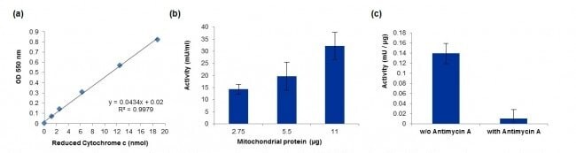 Abcam Mitochondrial Complex III Activity Assay Kit 100test, Quantity ...