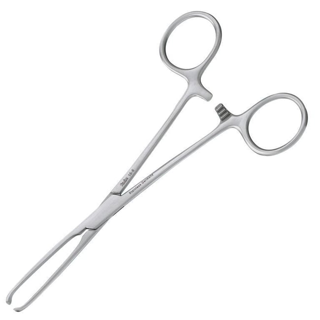 Med Vet International Allis Tissue Forceps 6", 4x5 Teeth Economy ...