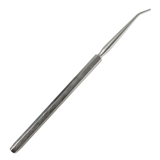 Med Vet International 6" Metal Dissection Probe, Blunt, Quantity: Each ...