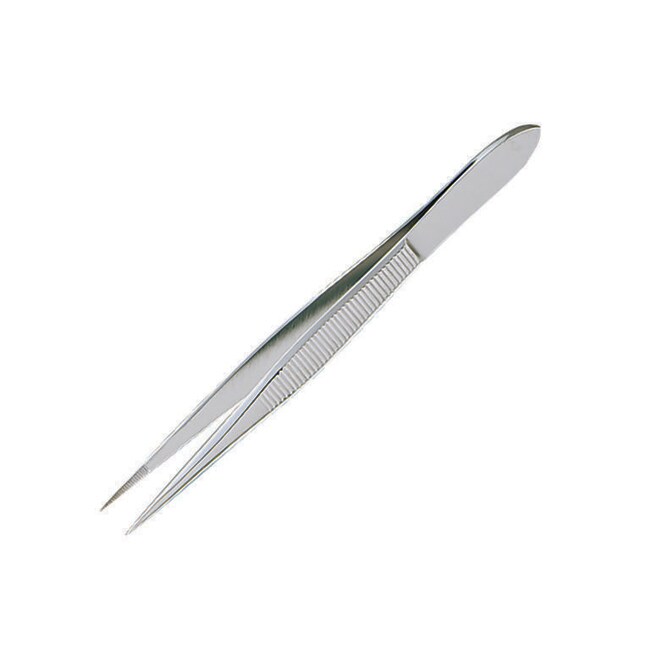 Med Vet International Economy Splinter Forceps, 4.5 in, Quantity: Each ...