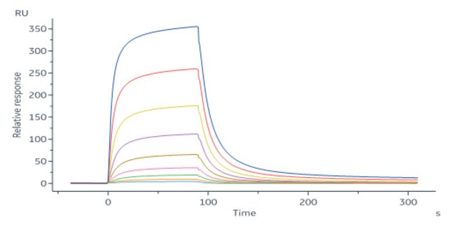 ACROBiosystems Biotinylated Human FGF-10, His,Avitag (FG0-H81Q7) is ...