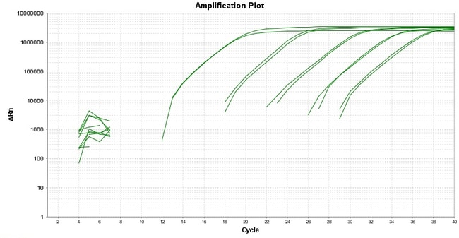 Aat Bioquest TAQuest FAST qPCR Master Mix with Helixyte Green No ROX (5 ...