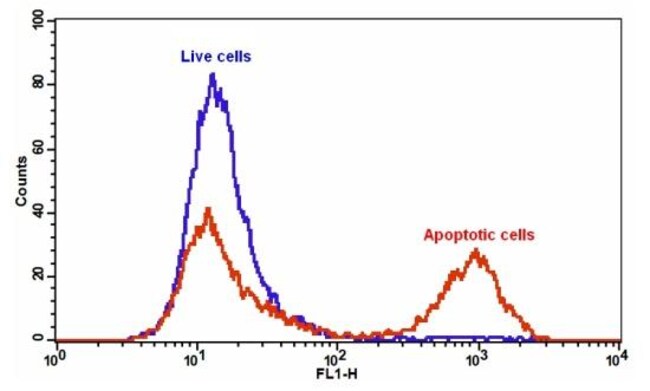 Aat Bioquest Annexin V-iFluor 488 conjugate (100 tests) | Fisher Scientific