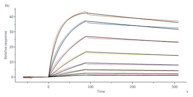 ACROBiosystems FMC63 scFv, His Tag (CD9-M52Hb) is expressed from human ...