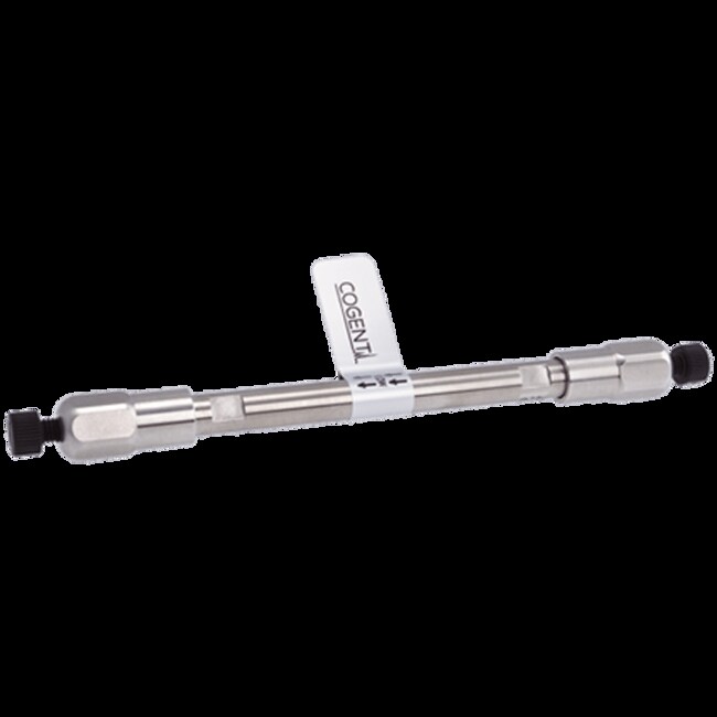 Microsolv Technology Corporation HPLC Column, IEX WAX, 10um, 4.6mm ID x ...