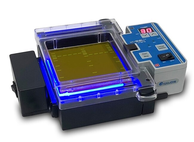 Alkali Scientific myGel InstaView Electrophoresis System, includes gel ...