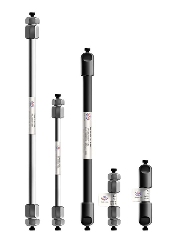 Sepax Technologies Inc Sepax HPLC Column HP-SCX, 3 µm, 120 Å, 4.6 x 250 ...