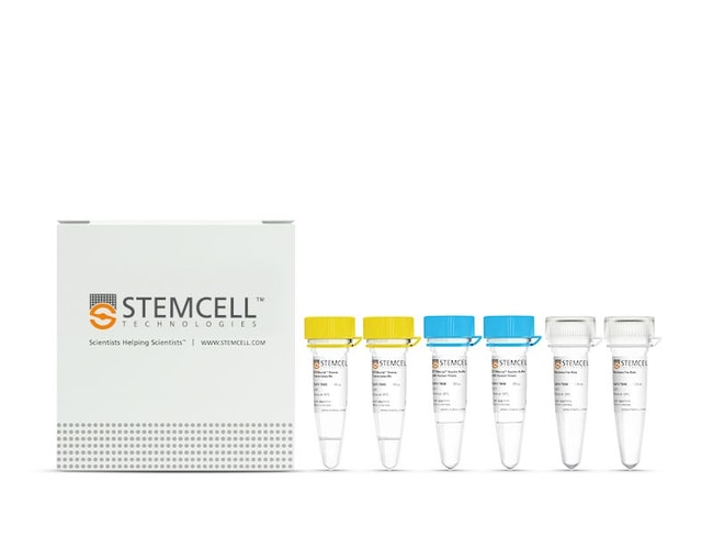 Stemcell Technologies STEMscript cDNA Synthesis Kit with Random Primers ...