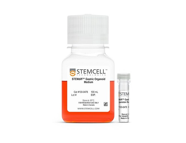 Stemcell Technologies STEMdiff Gastric Organoid Expansion Medium, Size: | Fisher Scientific