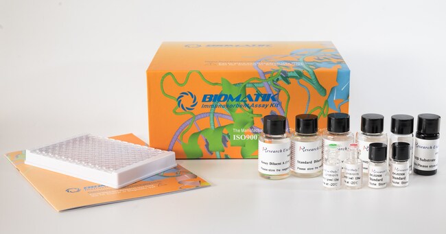 Biomatik Corporation Human Bleomycin Hydrolase (BLMH) CLIA Kit ...