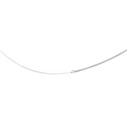 World Precision Instrument Rat Femoral Vein Catheter, 190 mm, 3F, 45 mm ...
