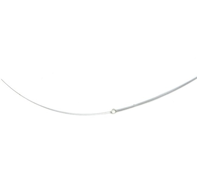 World Precision Instrument Rat Femoral Vein Catheter, 190 mm, 3F, 45 mm ...