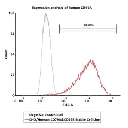 ACROBiosystems CHO/Human CD79A&CD79B Stable Cell Line Development ...
