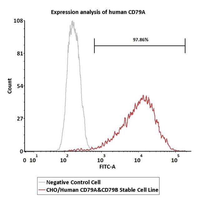 ACROBiosystems CHO/Human CD79A&CD79B Stable Cell Line Development ...