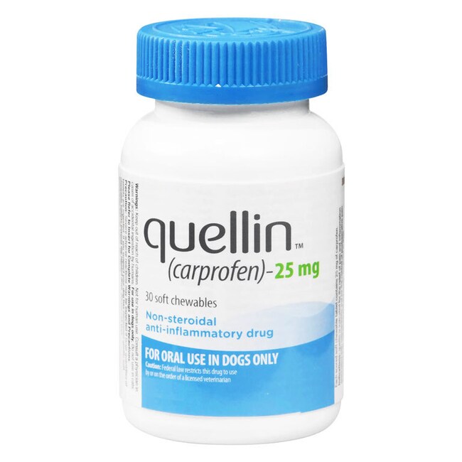 Med Vet International Quellin 25mg 30 Soft Chews, Quantity: Pack of 30 ...