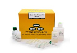 Zymo Research Corporation Sample Quick-RNA MiniPrep Kit (10 Preps) w/Zymo-Spin | Fisher Scientific