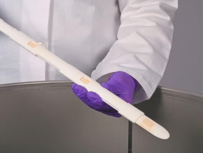 Buerkle Disposable Powder Sampler PharmaDispo Capacity: 0.5 mL, sterile ...