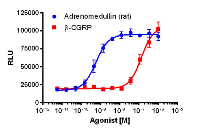 Eurofins Discoverx cAMP Hunter CHO-K1 CALCRL-RAMP3 Gs Cell Line, 2 ...