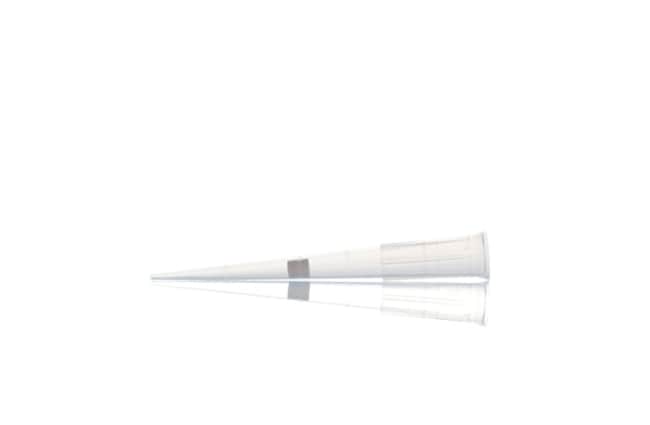 ASP MoleBio Filtered, Sterile Universal Pipette Tips 20 μL | Buy Online ...
