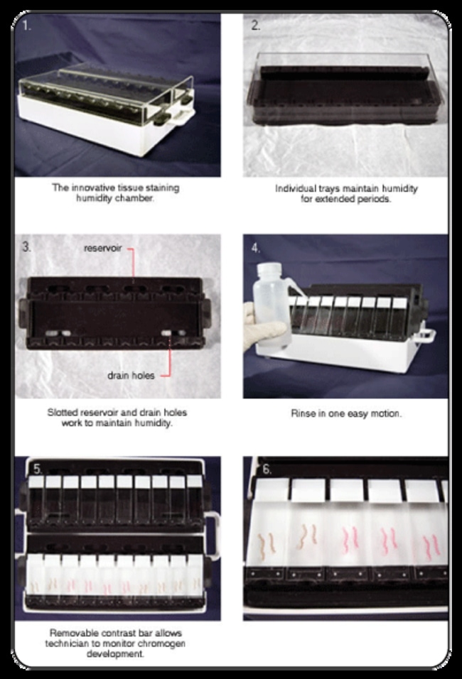 Scytek Laboratories SlideMaster, with Humidity Chamber, Two Slide ...