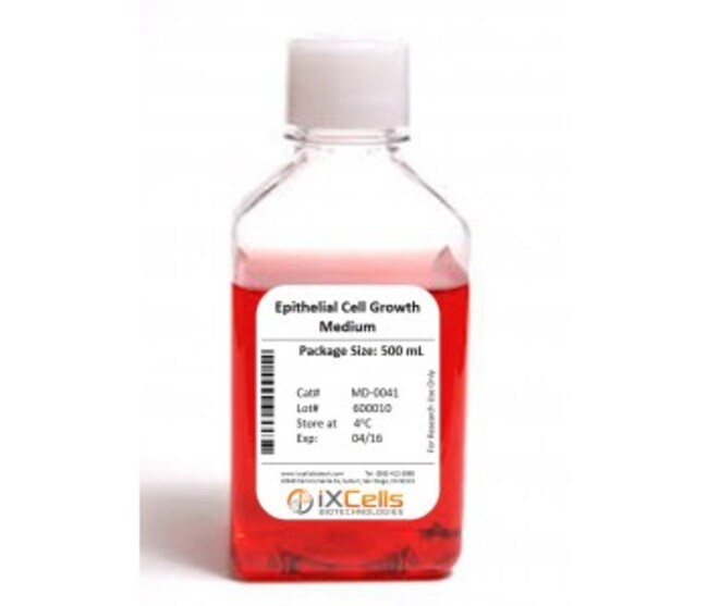 iXCells Biotechnologies Epithelial Cell Growth Medium, Quantity: Each ...