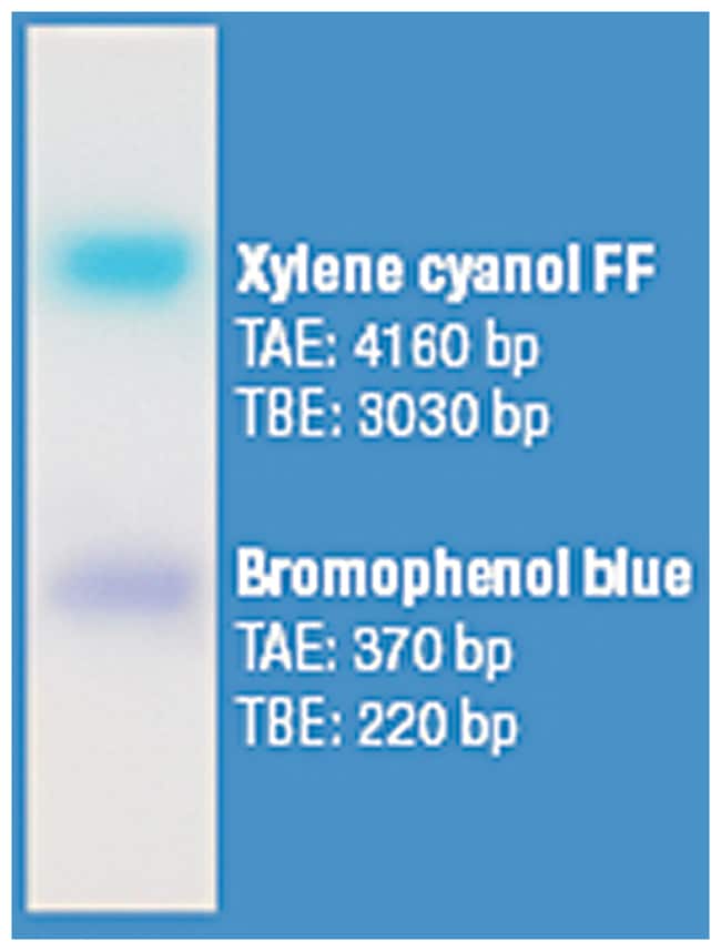 Thermo Scientific™ 6X DNA Loading Dye 5 x 1mL Puffer und ...