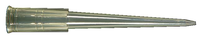 Axygen™ 200μL Universal Pipette Tips: 200μL, Beveled | Fisher Scientific