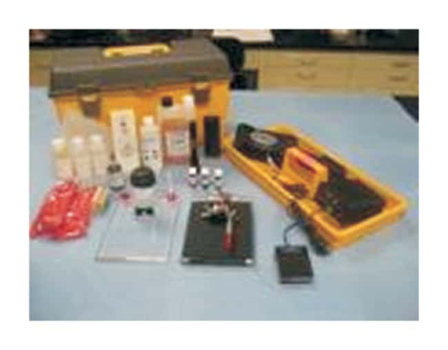 AIMS NEO-9 Neonate Rodent Tattooing System Tattoo system:Animal ...