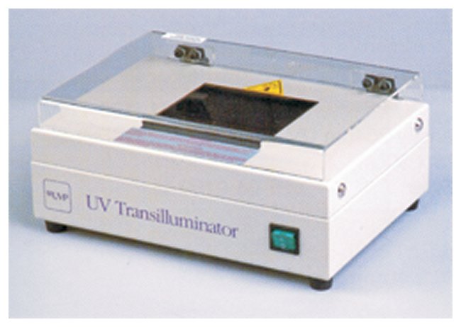 UVP Model M-10E Mini UV Transilluminators Mini UV Transilluminator; 115V:Life