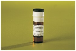 Thermo Scientific™ Protease Inhibitor Cocktails Cocktail, EDTA-Free ...