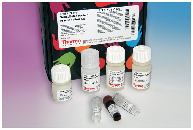 Thermo Scientific Subcellular Protein Fractionation Kit for Cultured ...