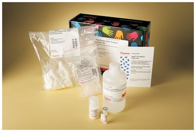 Thermo Scientific™ Pierce™ GST Protein Interaction Pull-Down Kit GST ...