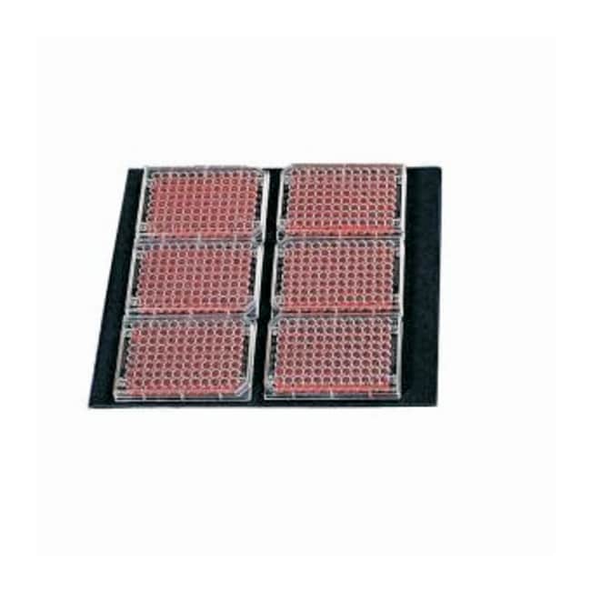 Eppendorf™ Scientific Shaker Utility Trays Trays; With nonskid mat; 18L ...