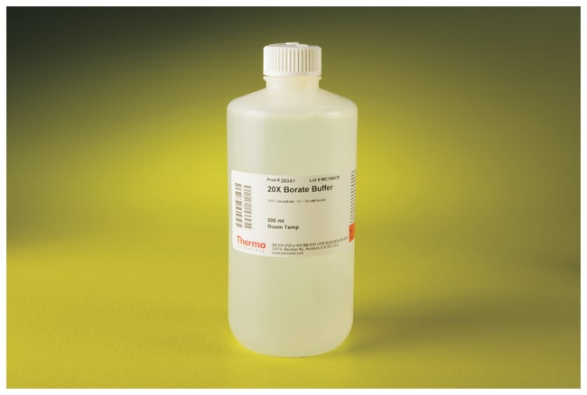 Thermo Scientific™ Pierce™ 20X Borate Buffer 20X concentrated buffer ...