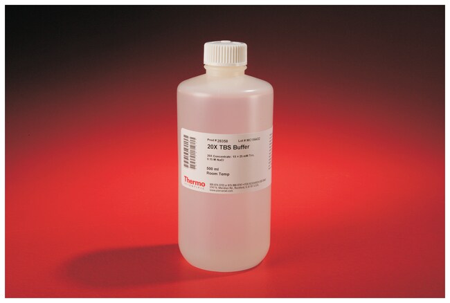 Thermo Scientific™ Pierce™ 20X Tris Buffered Saline 20X concentrated ...