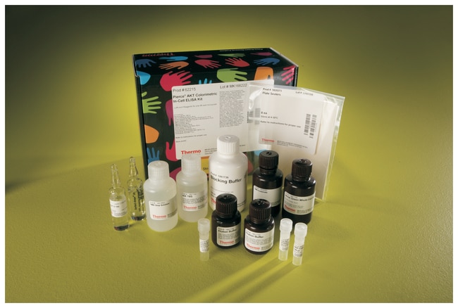 Invitrogen AKT Multispecies In-Cell ELISA Kit, Colorimetric 96 Tests ...