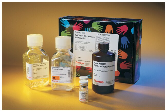 Thermo Scientific™ Pierce™ Glycoprotein Staining Kit Glycoprotein ...