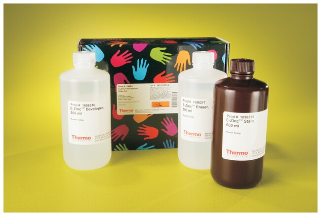 Thermo Scientific™ Kit de tinción reversible de proteínas de cinc ...