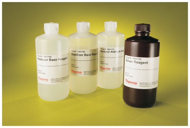 Thermo Scientific™ Pierce™ Color Silver Stain Kit Kit; 2L kit Tintes de ...