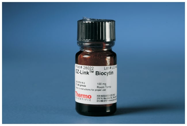Thermo Scientific™ EZ-Link™ Biocytin 100mg Reagenzien für die Carboxyl ...