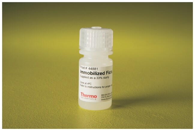 Thermo Scientific™ Pierce™ immobilisiertes Ficin 5mL Proteasen und ...