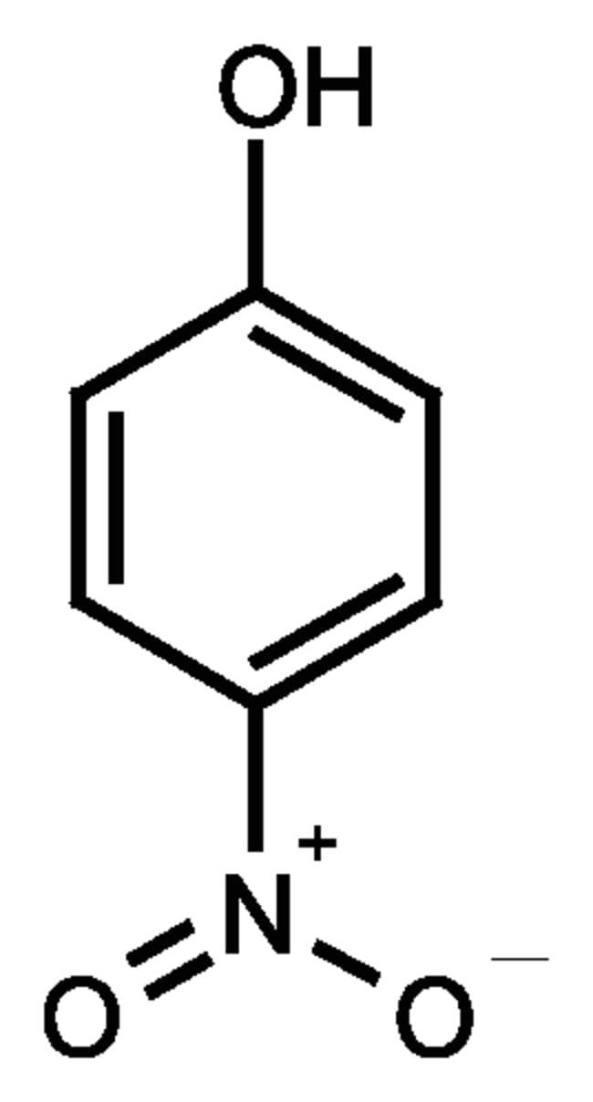 p-Nitrophenol (Yellow Crystals or Powder/Peptide Synthesis), Fisher ...